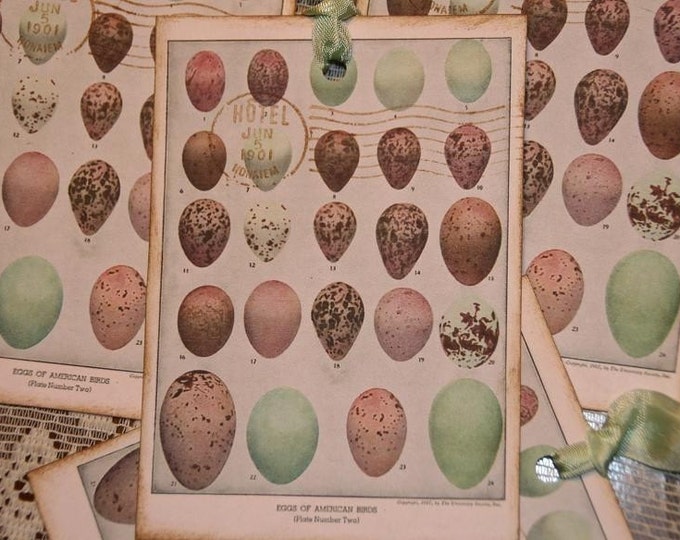 Egg Tags Round Paper Gift Tags Set of 10 - Etsy