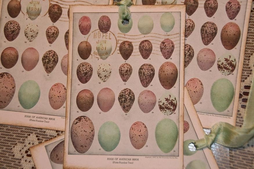 Egg Chart Gift Tags - Etsy
