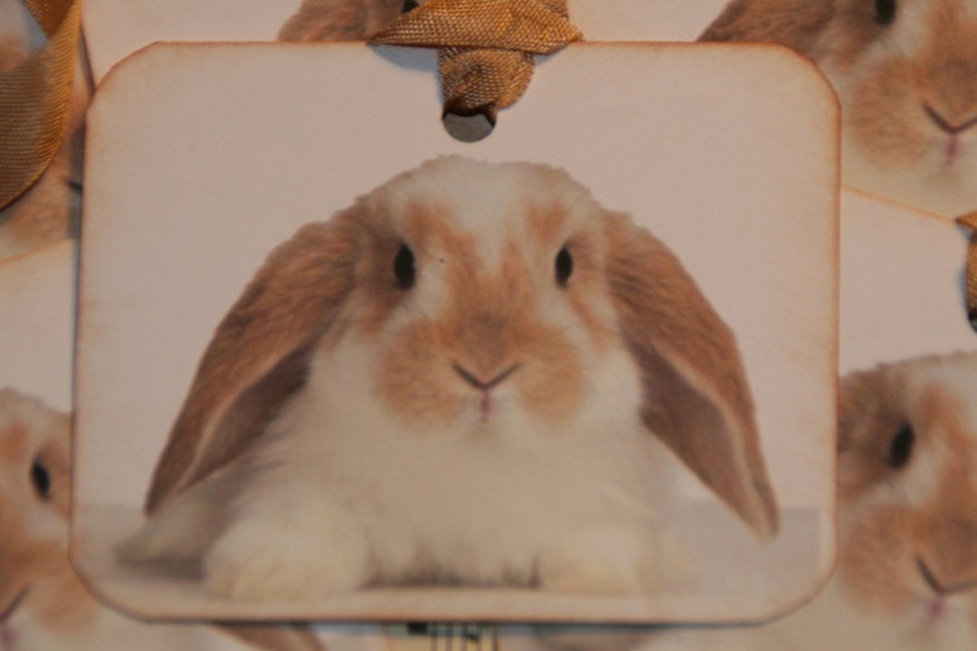 Brown and White Bunny Tags - Etsy