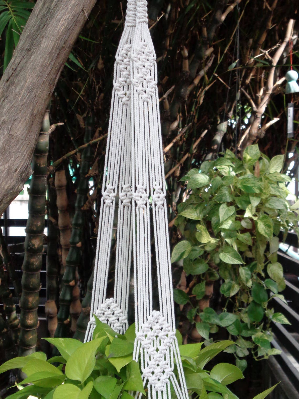 Two Arms Plant Hanger 'extra' - Etsy