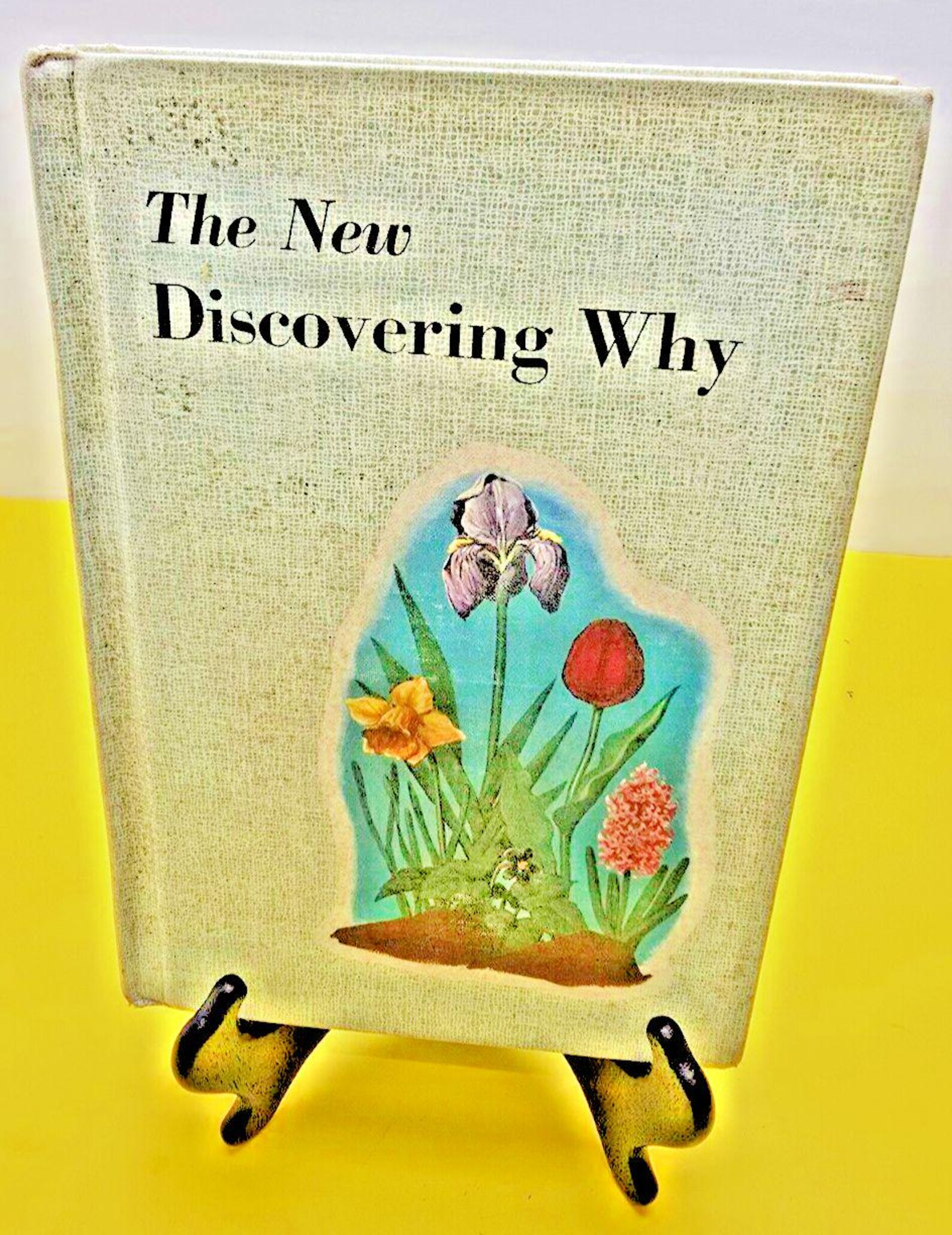 The New Discovering Why Vintage 1956 Understanding Science Series B1 - Etsy