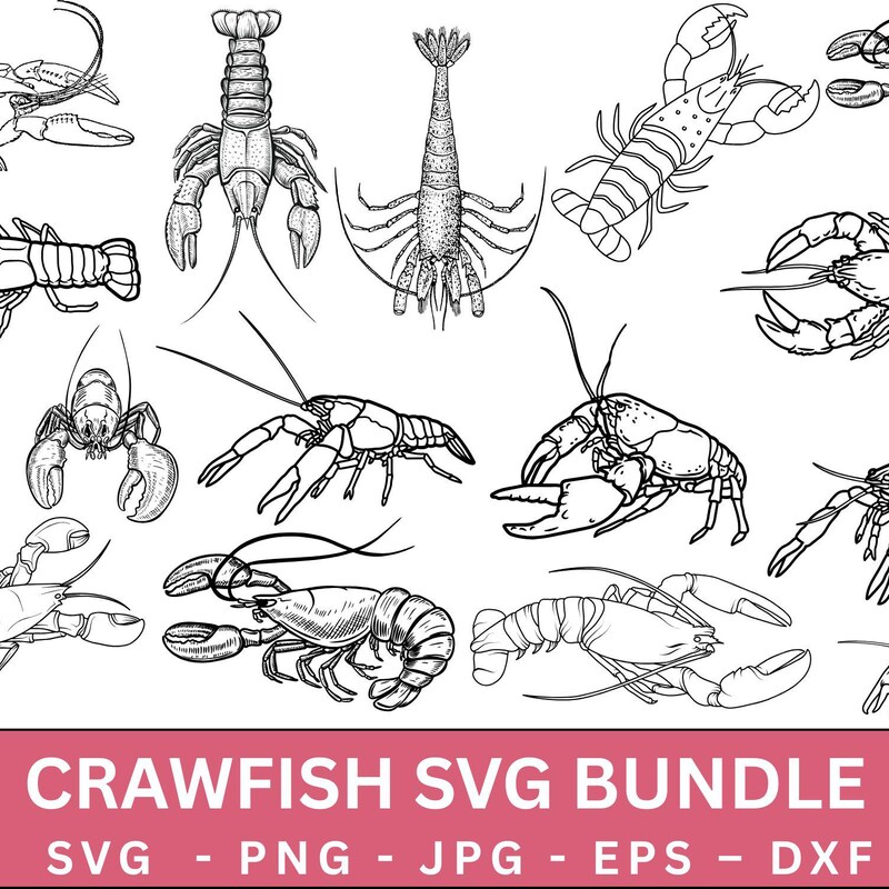 Crawfish Svg - Etsy