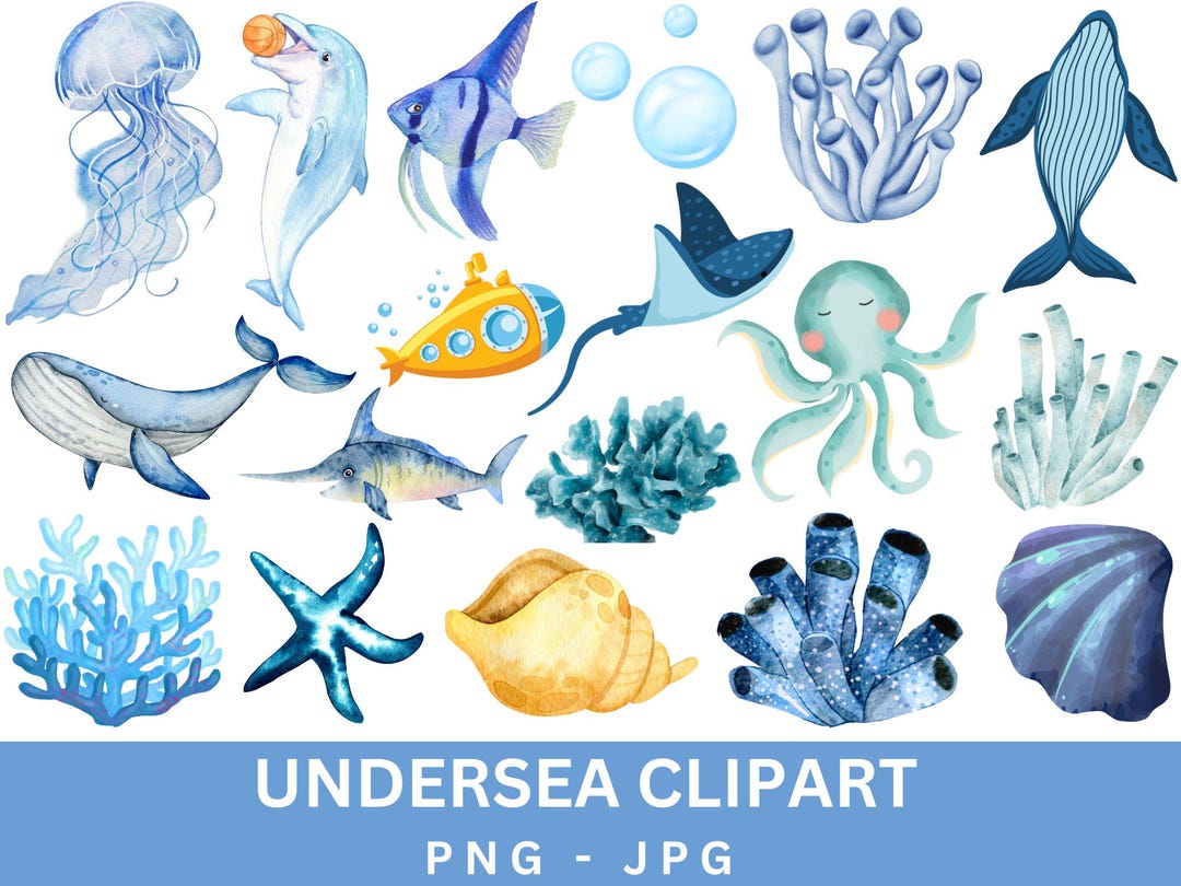 Watercolor Undersea Clipart Bundle, Ocean Animals (PNG, JPG) - Etsy