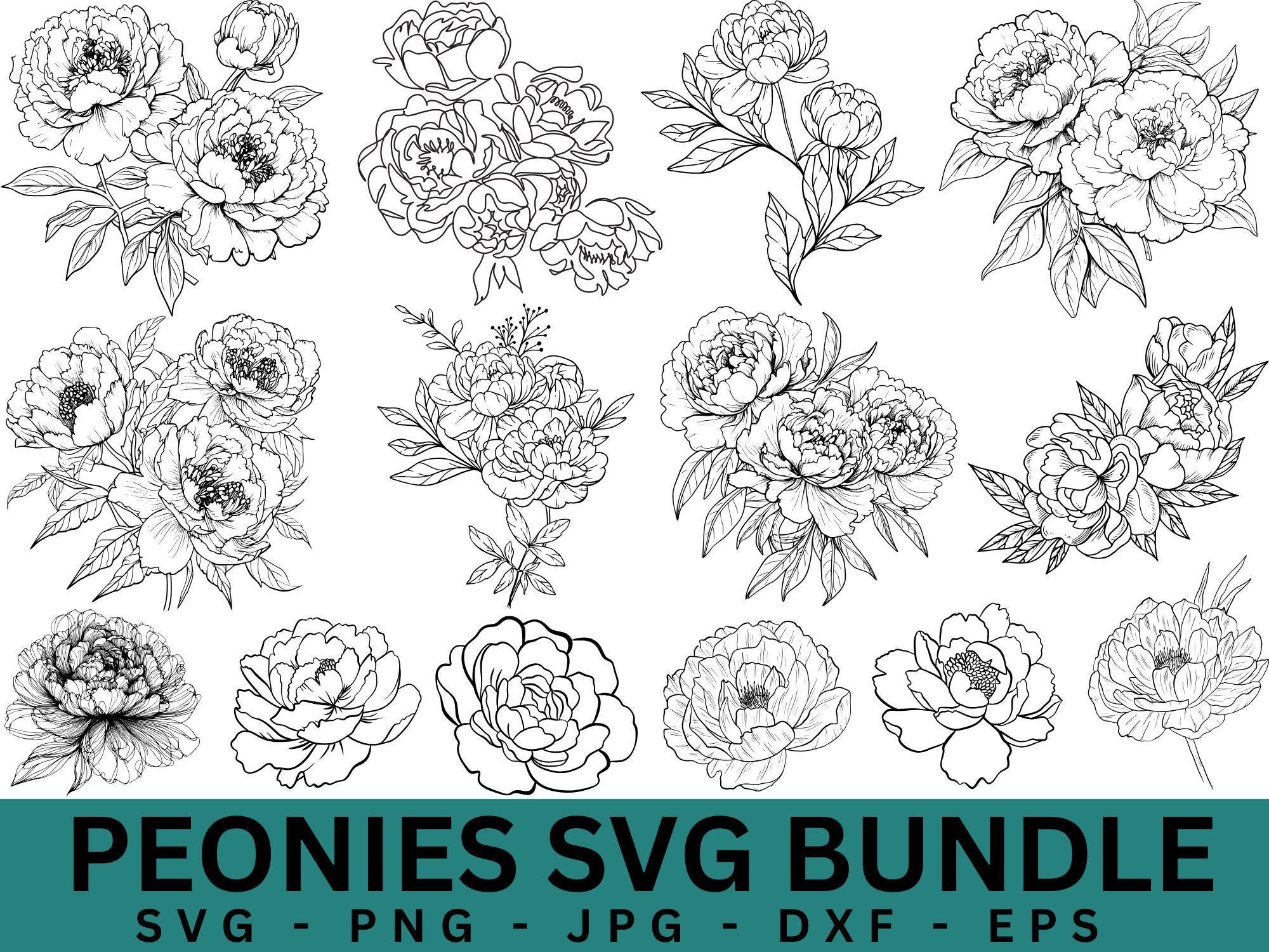 Peony Flower SVG Bundle, Floral Arrangement, Tattoo Stamps (digital ...