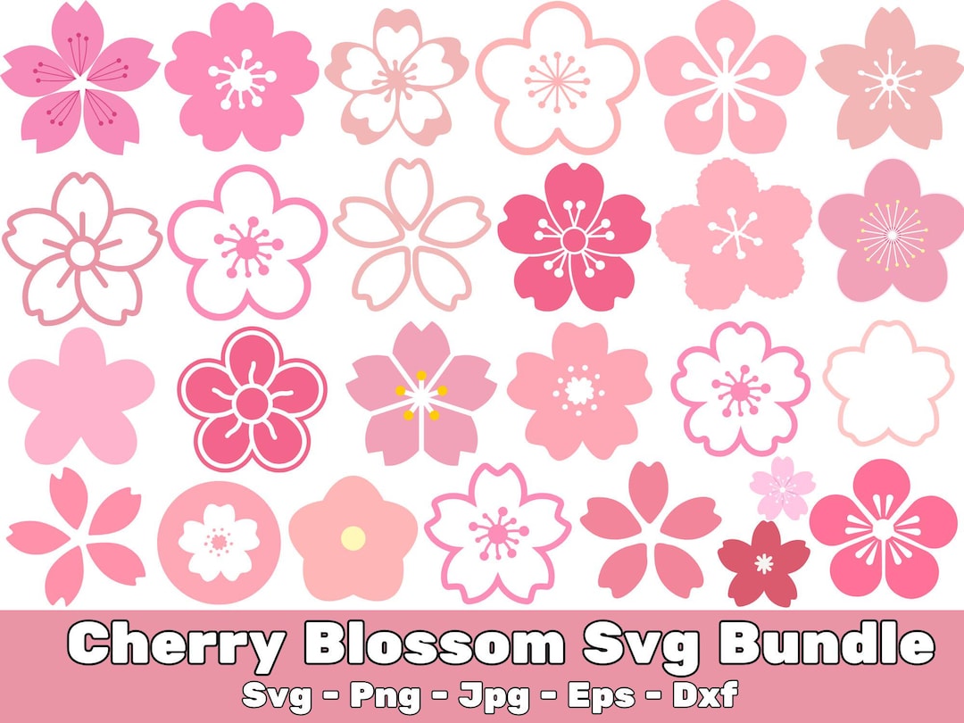 Cherry Blossom SVG Bundle, Pink Sakura Flower Clipart (digital Download ...