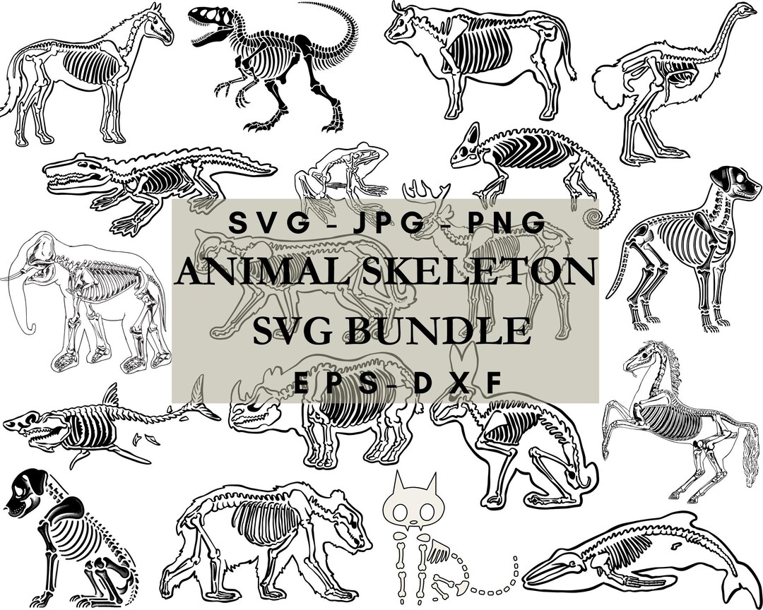 Animal Skeleton SVG Bundle,high Quality Animal Skeleton SVG Bundle ...