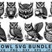 Owl SVG Bundle, Wild Animal Vector Graphics (digital Download) - Etsy