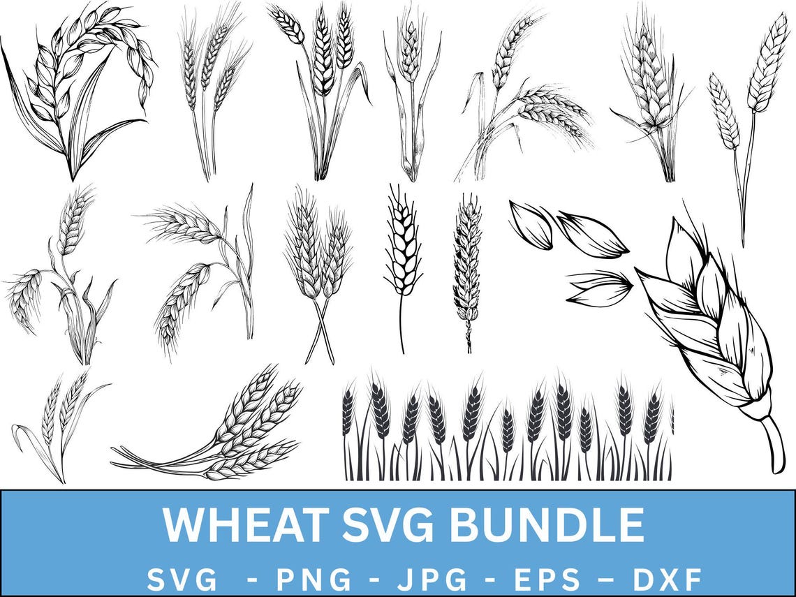 Wheat Svg Bundle,wheat Silhouette,wheat Cricut,wheat Design Svg,wheat ...