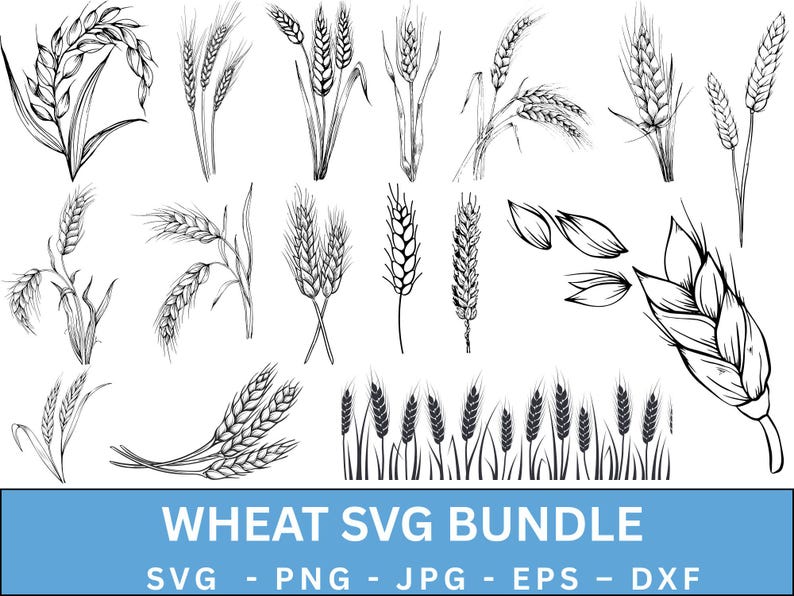Wheat SVG Bundle, Vector Art Icon (digital Download) - Etsy
