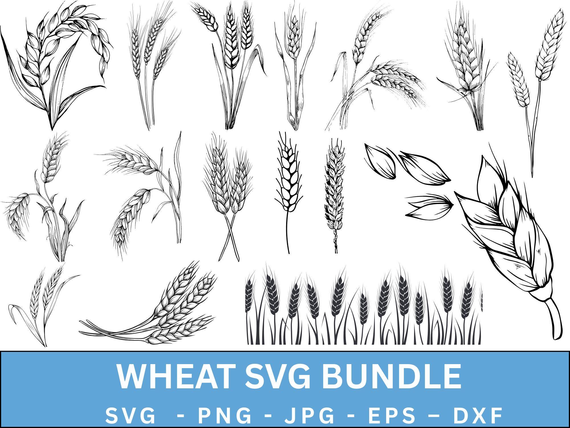 Wheat Svg Bundle,wheat Silhouette,wheat Cricut,wheat Design Svg,wheat ...