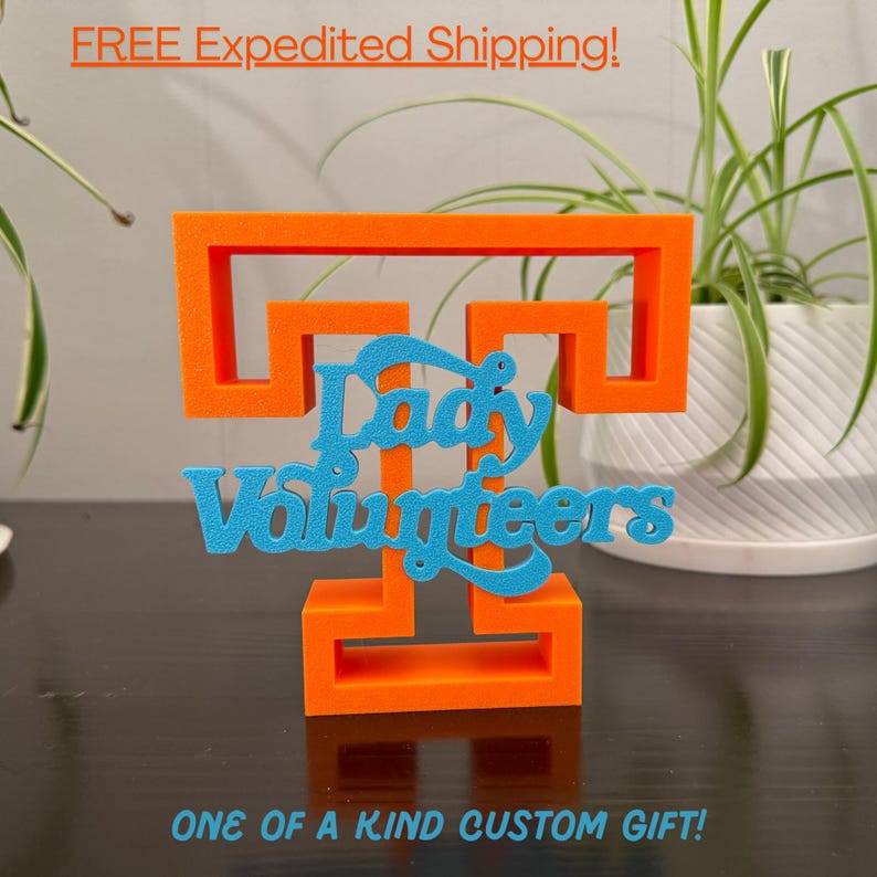 Custom 3D Printed “lady Vols” Inspired Orange and Teal Desk Sign ...