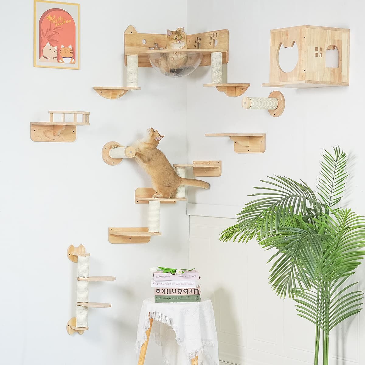 Rubberwood Cat Shelves, DIY Cat Steps, Large Cat Perch Cat Wall Mounted ...