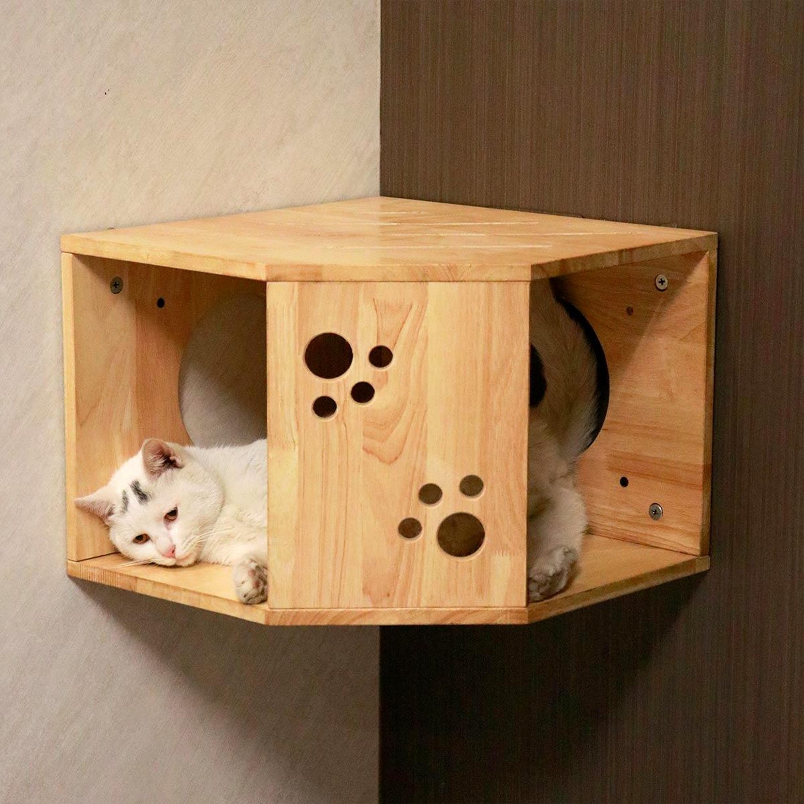 Wall Mounted Cat House, Cat Shelf, Cat Perch| Rubberwood - Etsy