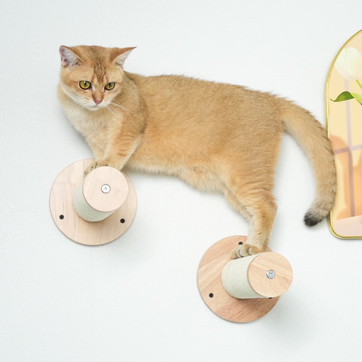 Rubberwood Cat Shelves, DIY Cat Steps, Large Cat Perch Cat Wall Mounted ...