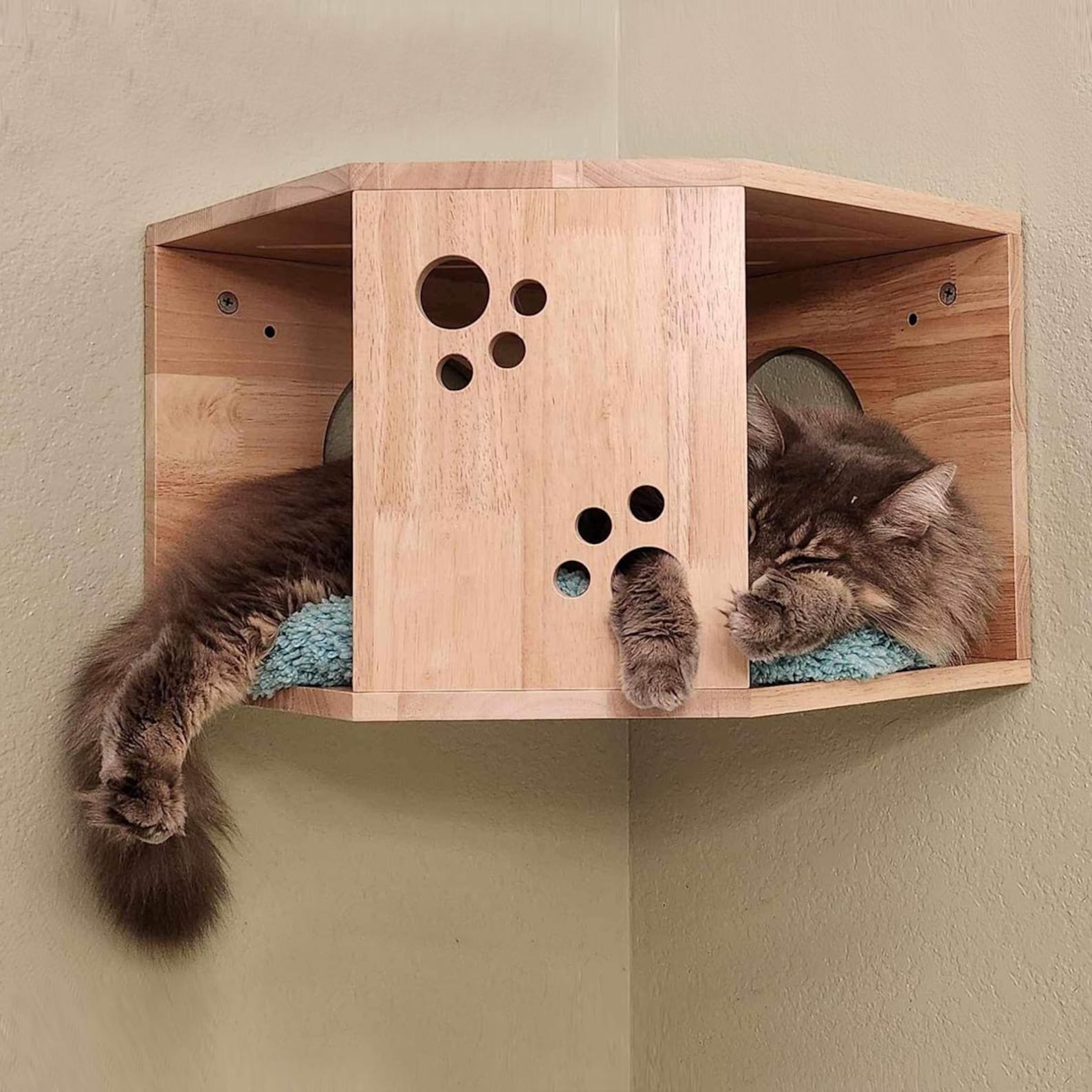 Wall Mounted Cat House, Cat Shelf, Cat Perch Rubberwood - Etsy