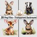 Watercolor Baby Woodland Animal Clipart Set | 20 Commercial Use PNG ...