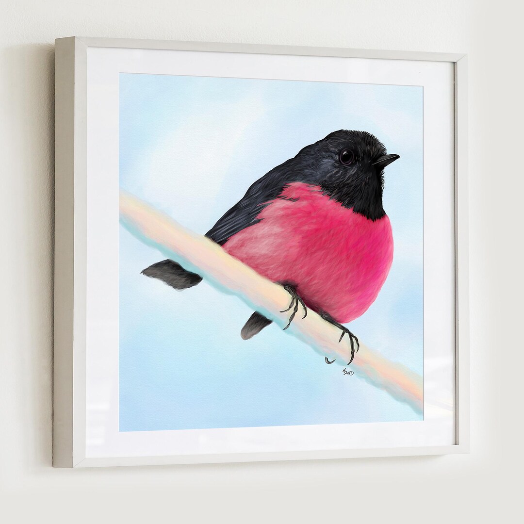 Originl Art Archival Print Bird Lover Room Decor Art Pink Robin Wall ...
