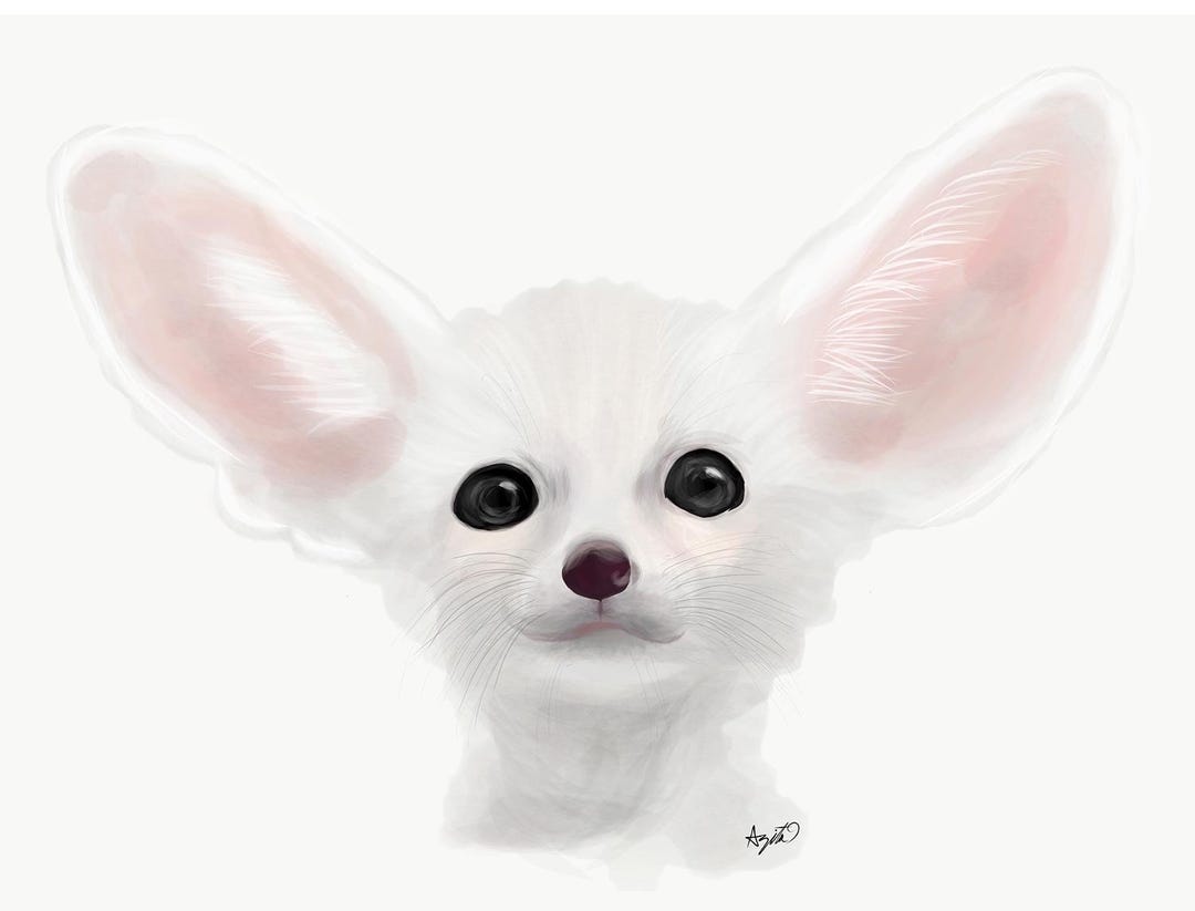 Fennec Fox Print Unframed Wall Art Kids Room Decor Birthday Gift Fox ...