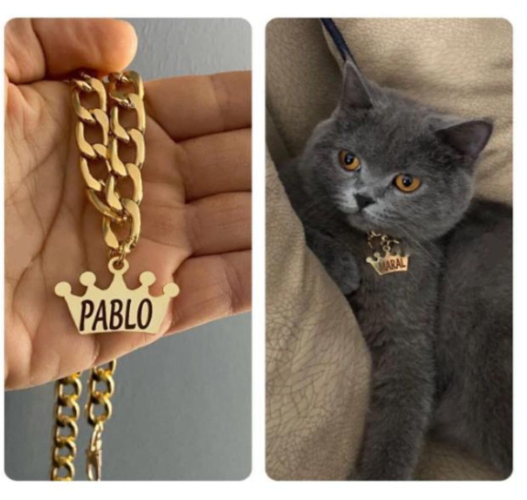 Personalized Cuban Link Cat Necklace, Cat Leash , Chain Leash ...