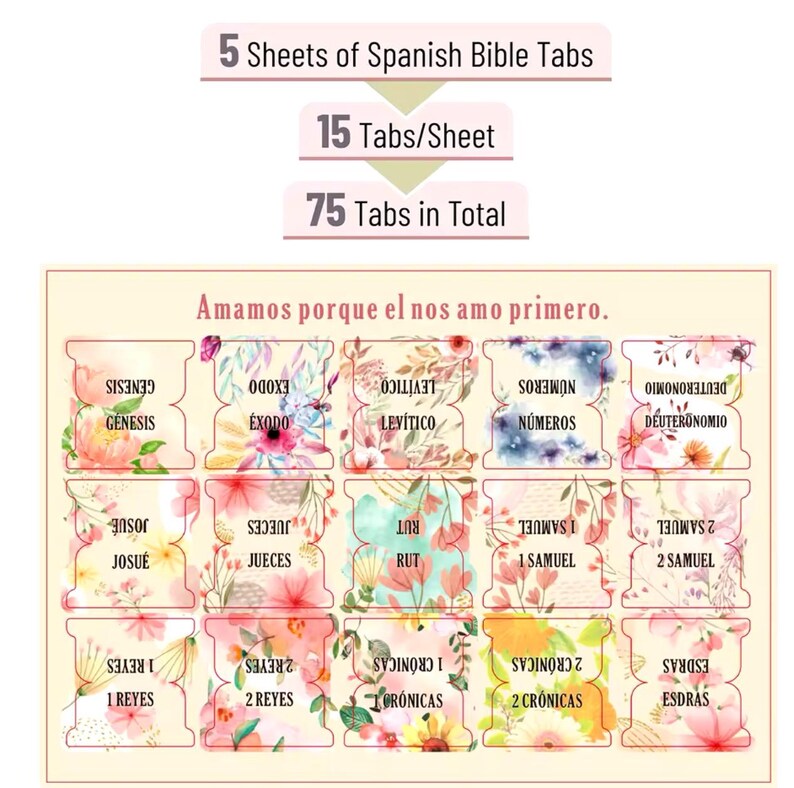 Tab Divisores Para Biblia Flores - Etsy
