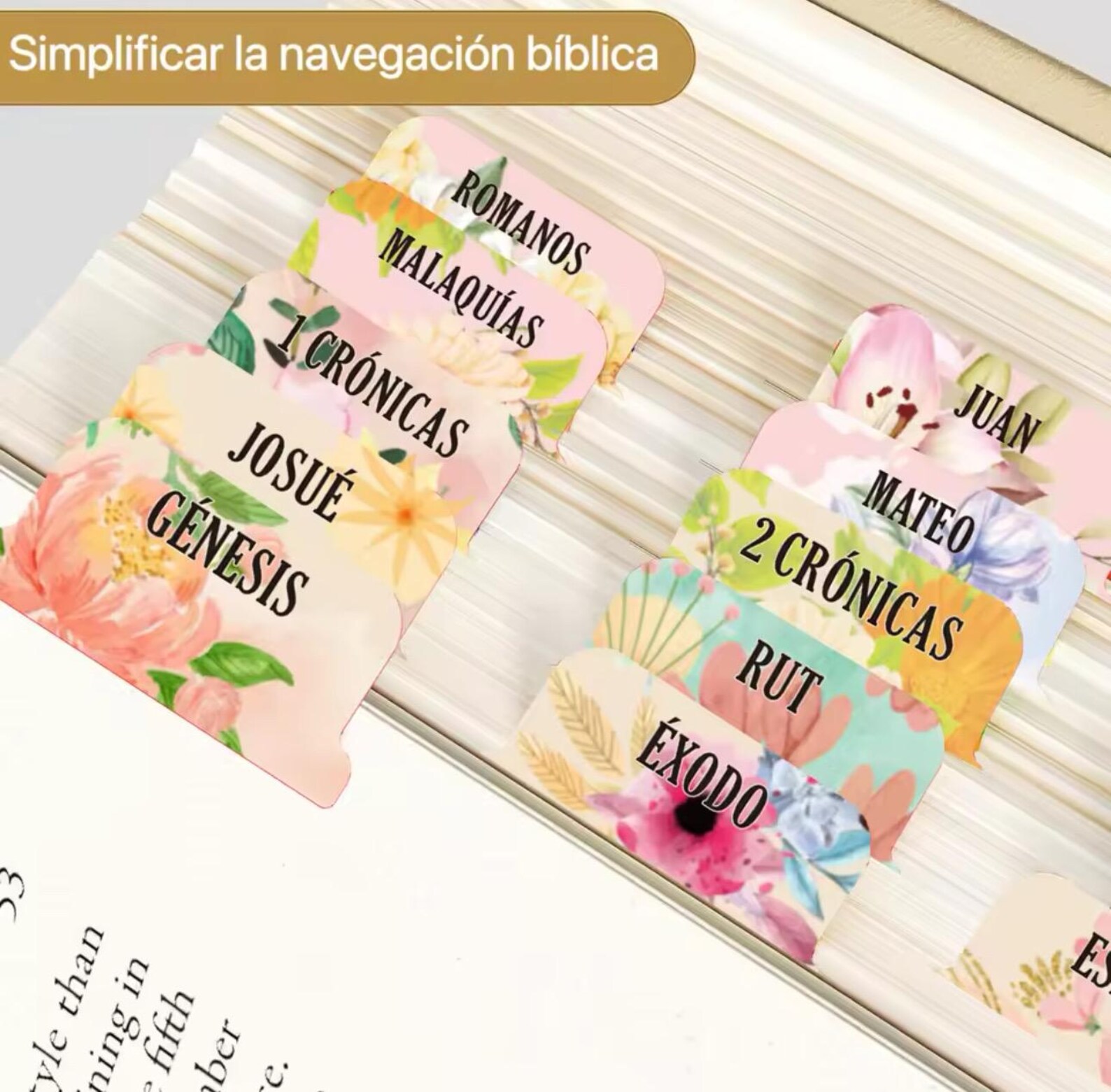 Tab Divisores Para Biblia Flores - Etsy