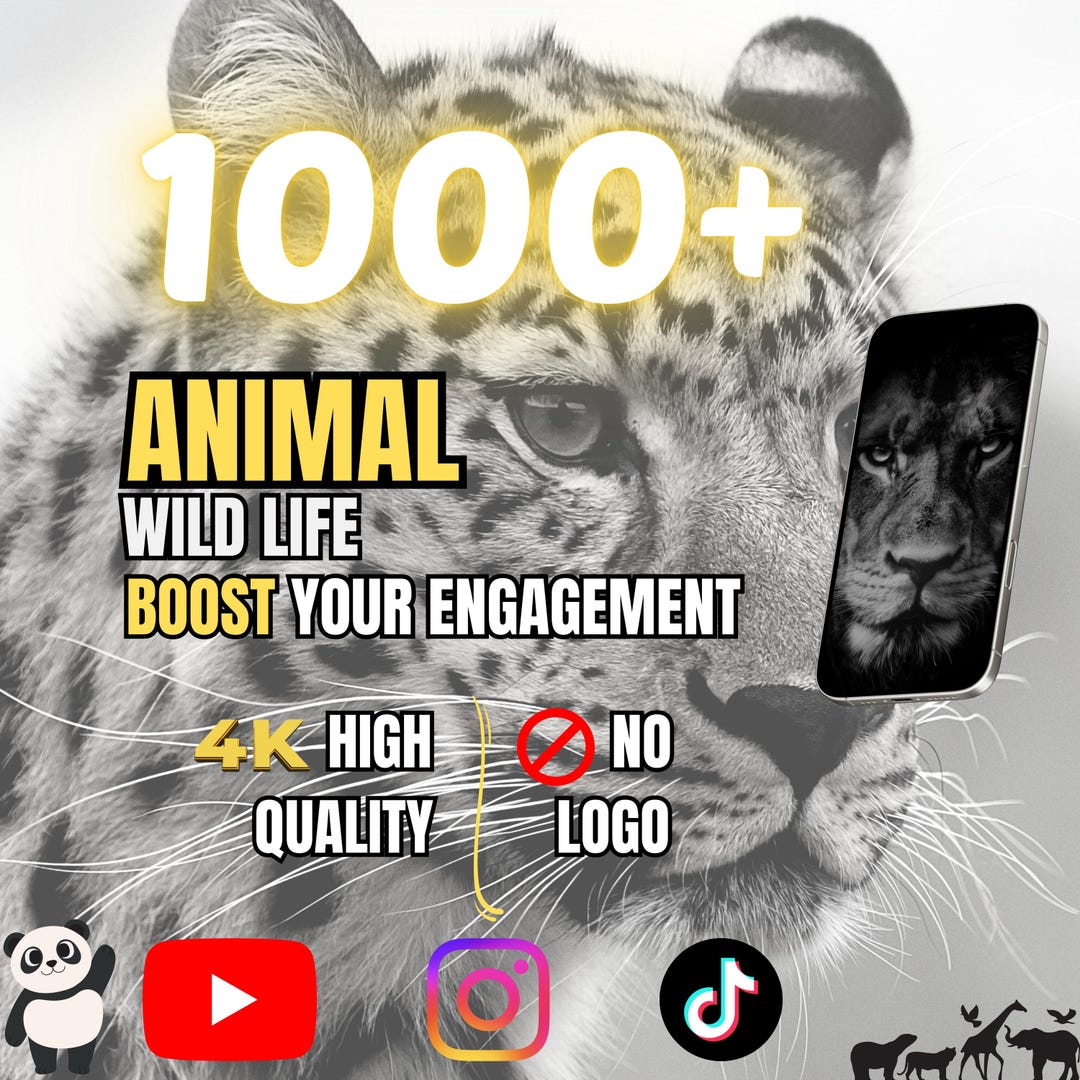 1000+ Viral Animal Reels, Animal Videos, Safari Footage, for Tiktok ...