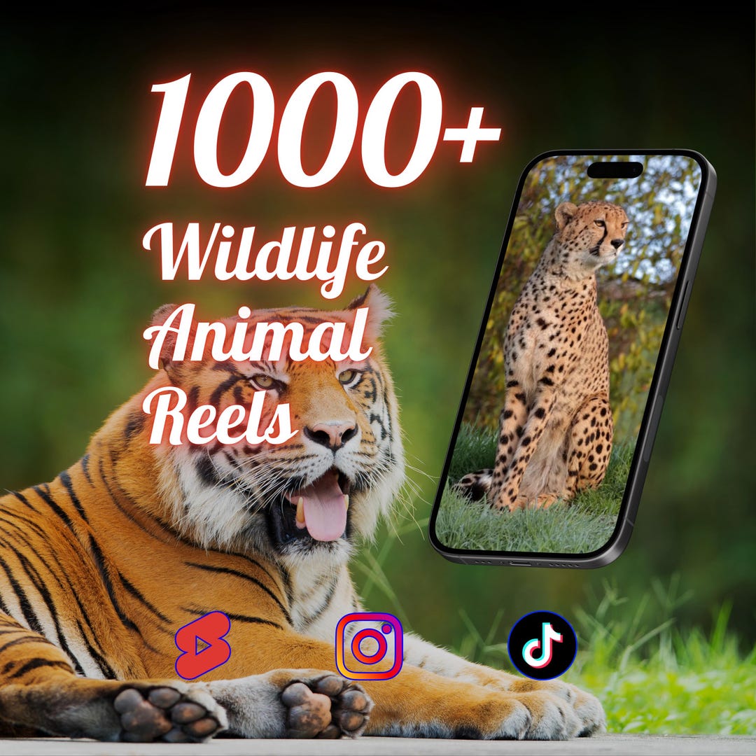 1000+ Wild Animal Clips for Faceless Tiktok & Instagram Reels | Real ...