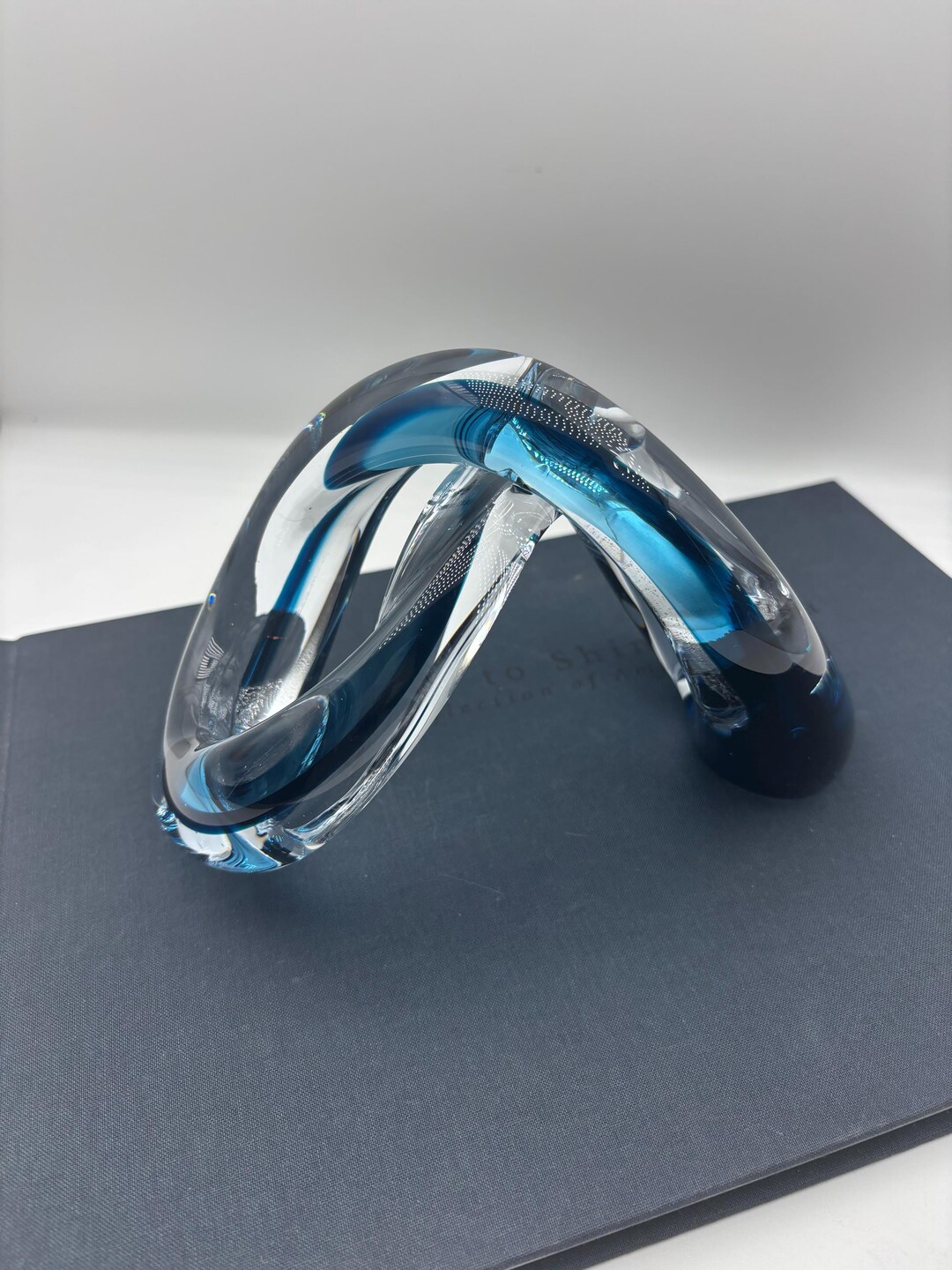 Clear & Blue Infinity Sculpted Glass Artwork Shelf Decor Bookend ...