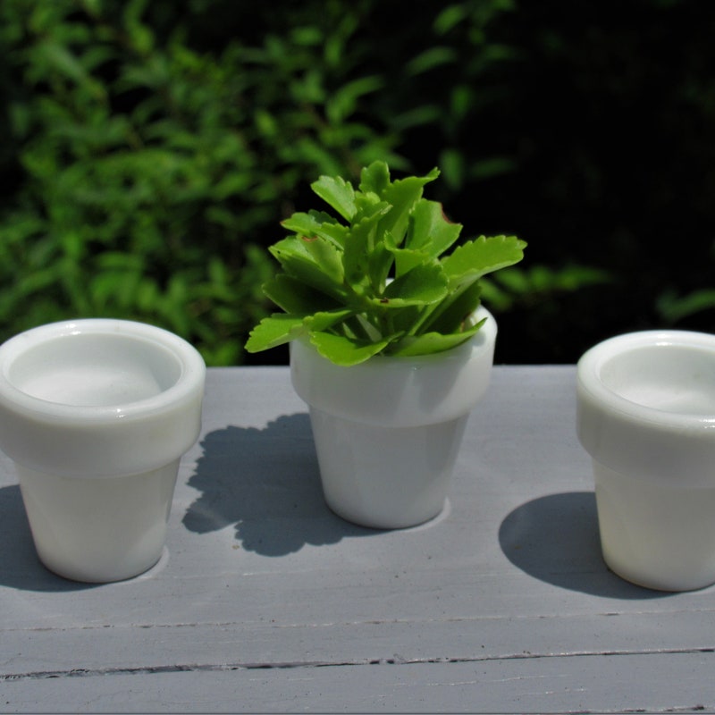 Mini Flower Pot - Etsy