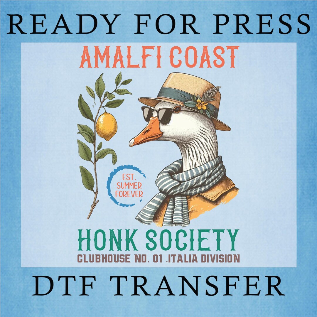 Amalfi Coast Goose Ready to Press, Silly Goose Summer Dtf, Amalfi Coast ...