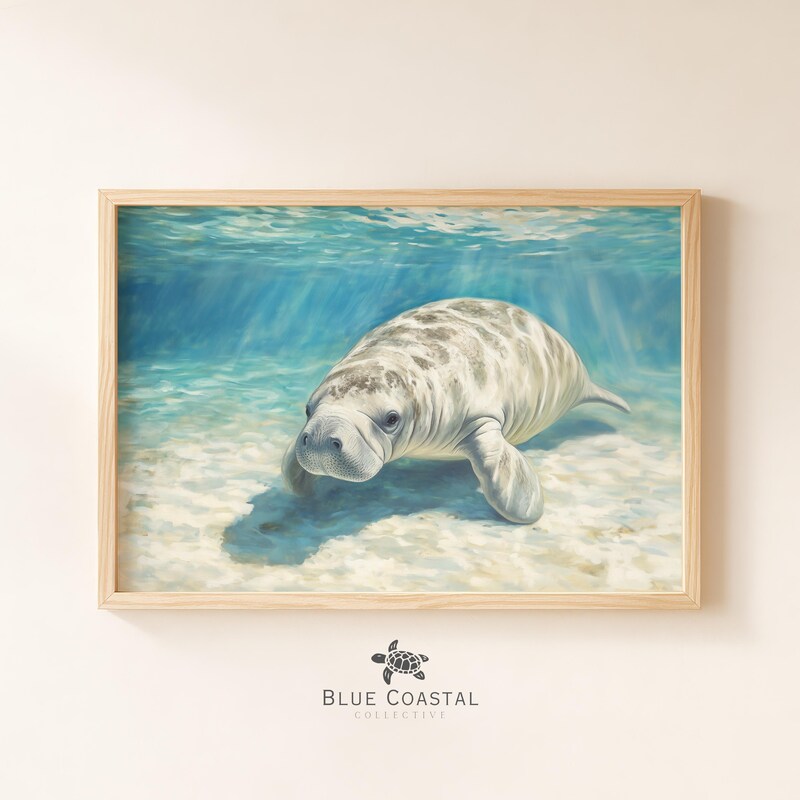 Manatee Art - Etsy