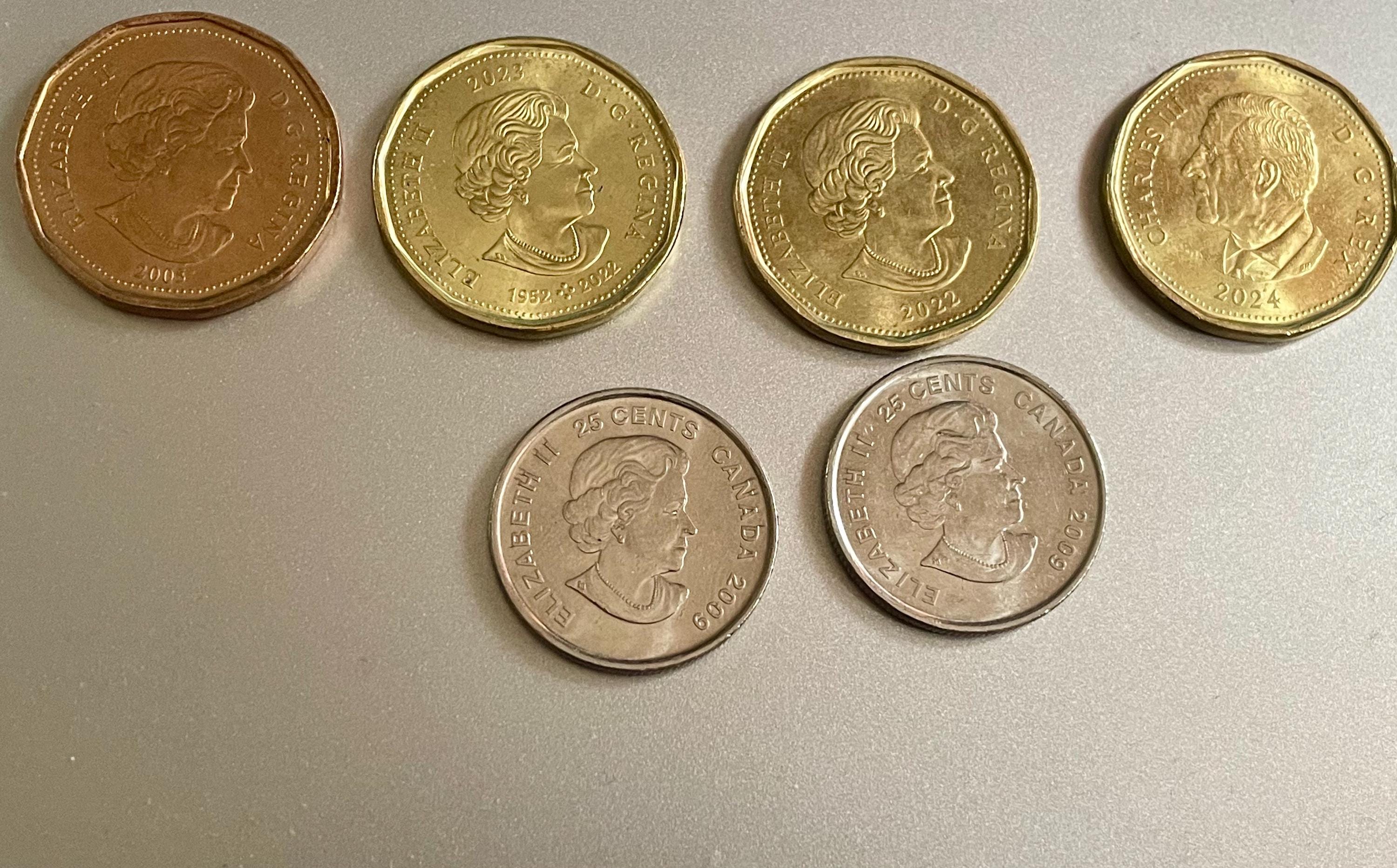 Rare Loonie Proud to Be Canadian - Etsy