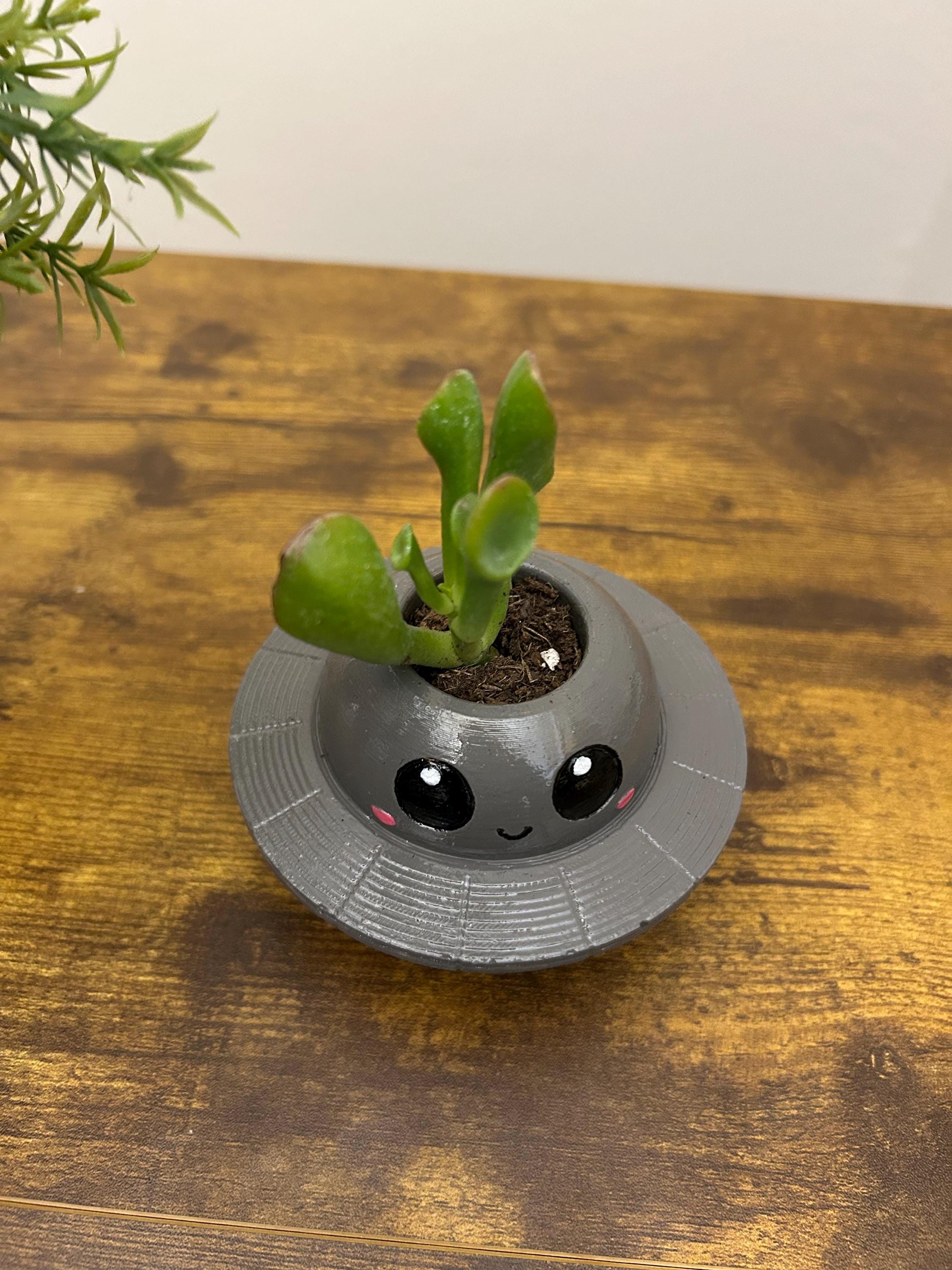 UFO Succulent Planter: Quirky Alien Pot With Colorful Dots - Handmade ...