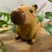 Capybara Planter: Unique Succulent & Air Plant Pot, Office Decor - Etsy