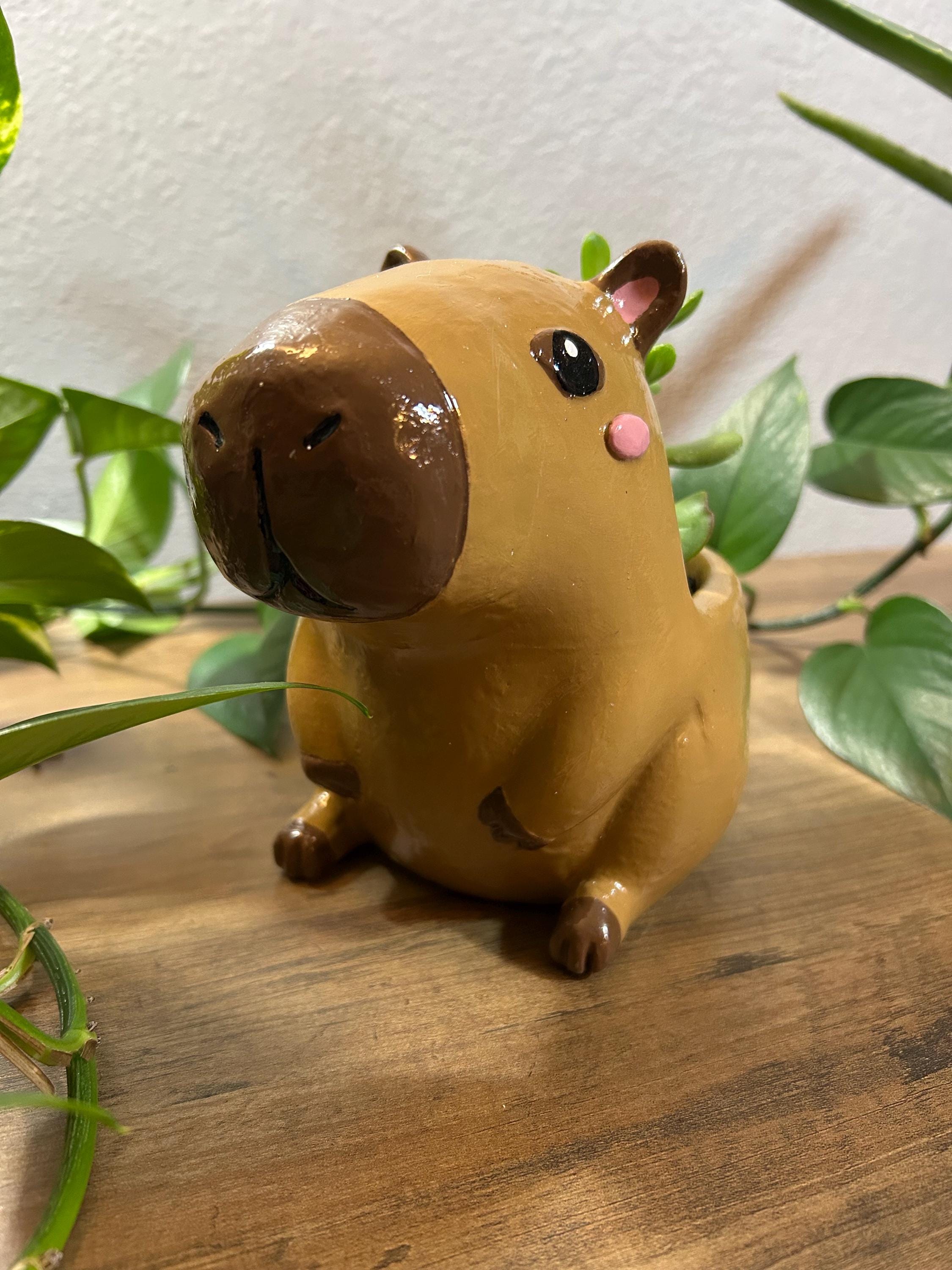 Capybara Planter: Unique Succulent & Air Plant Pot, Office Decor - Etsy