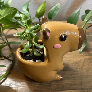 Capybara Planter: Unique Succulent & Air Plant Pot, Office Decor - Etsy