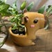 Capybara Planter: Unique Succulent & Air Plant Pot, Office Decor - Etsy