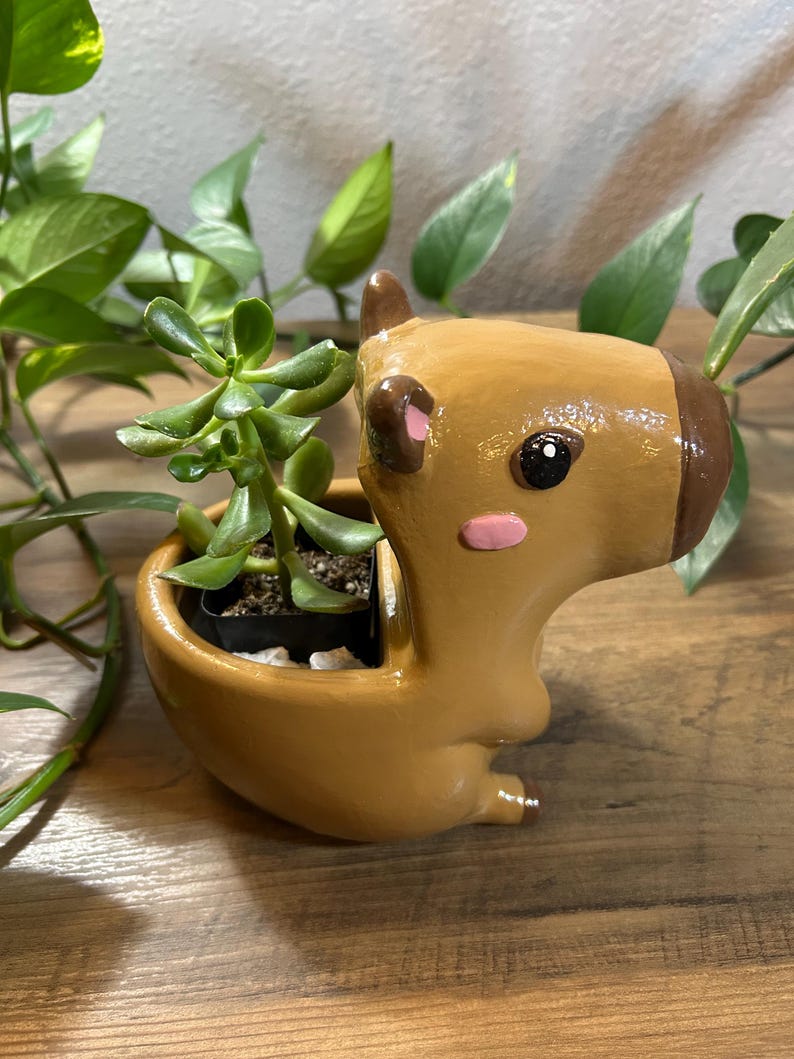 Capybara Planter: Unique Succulent & Air Plant Pot, Office Decor - Etsy