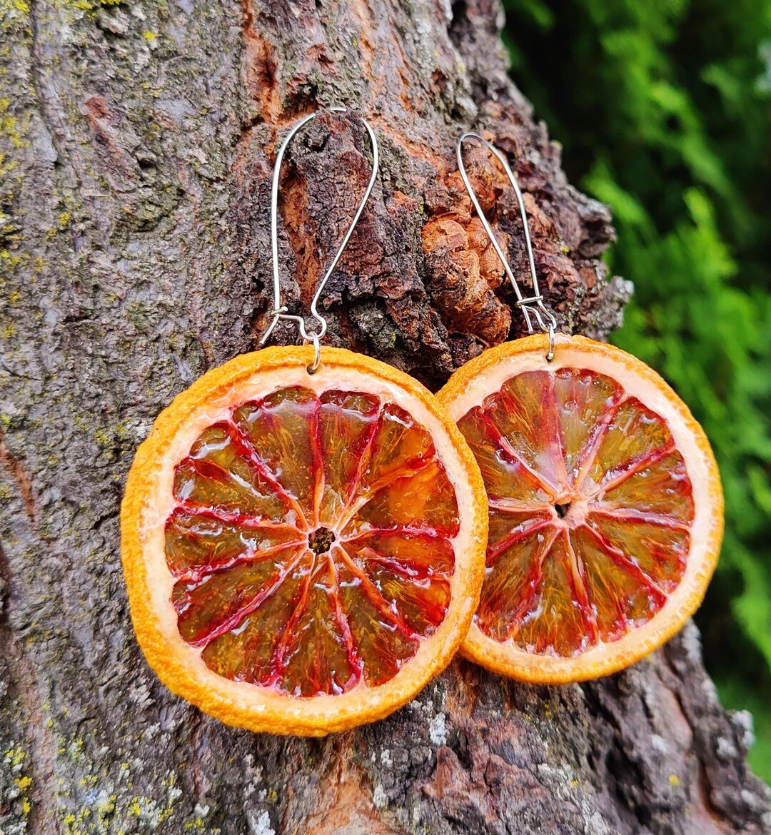 Blood Orange Earrings, Handmade Real Fruit Jewelry, Handcrafted Orange ...