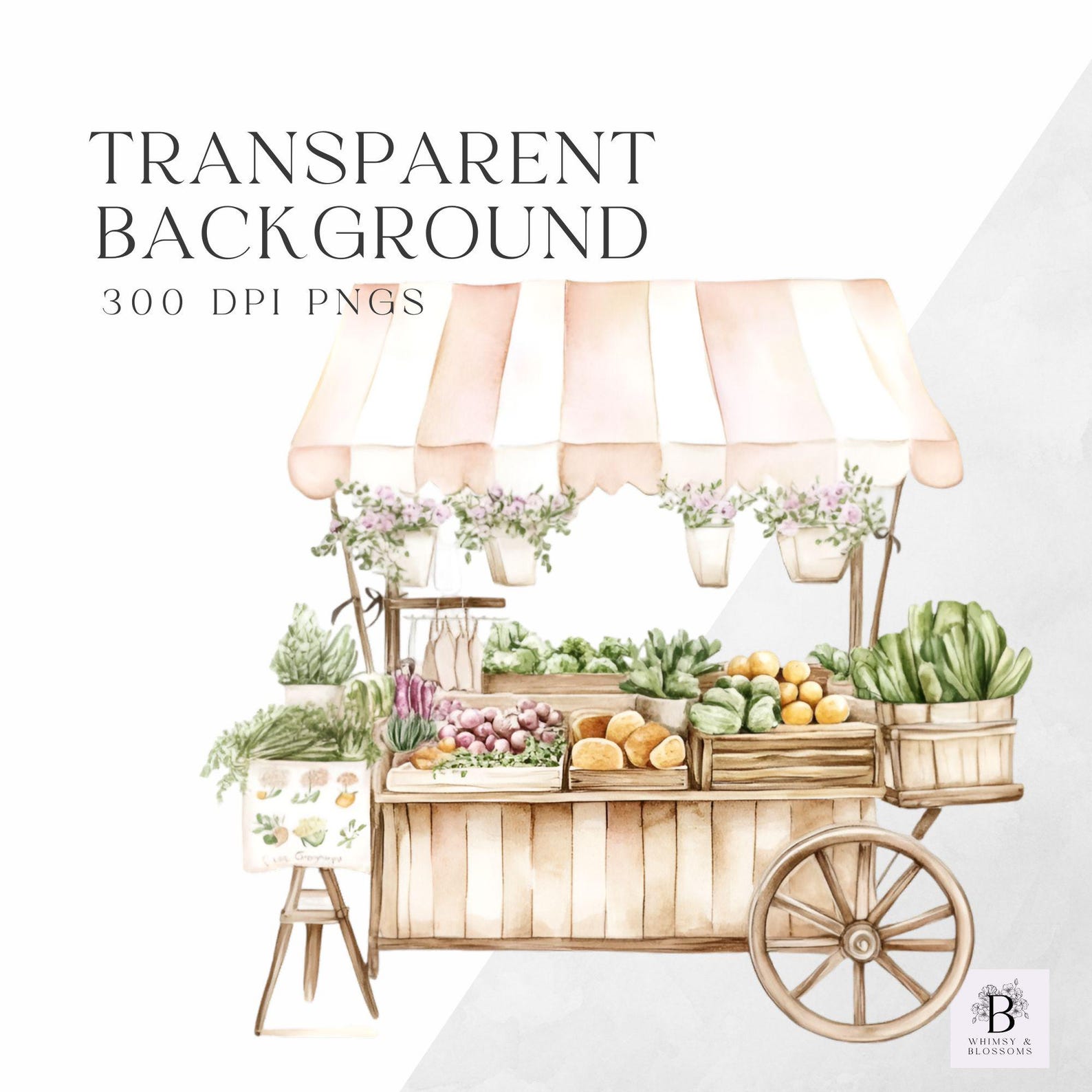 Baby Farmers Market Clipart, Locally Grown PNG, Watercolor Graphics ...