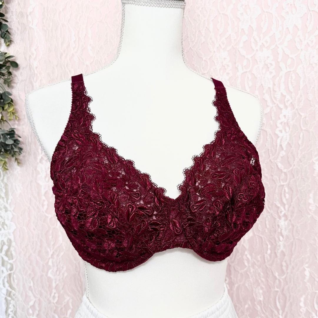 Playtex Secrets Vintage Full Figure Lace Bra – Size 38D, Burgundy Red ...