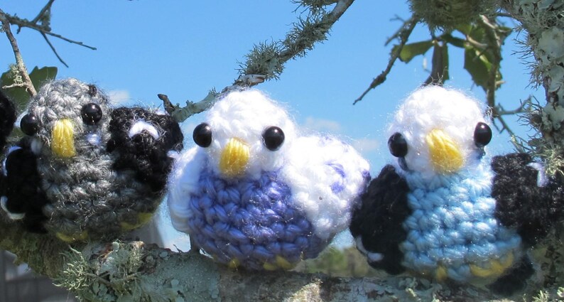 Cute Budgie Pattern: Intermediate Crochet PDF - Etsy