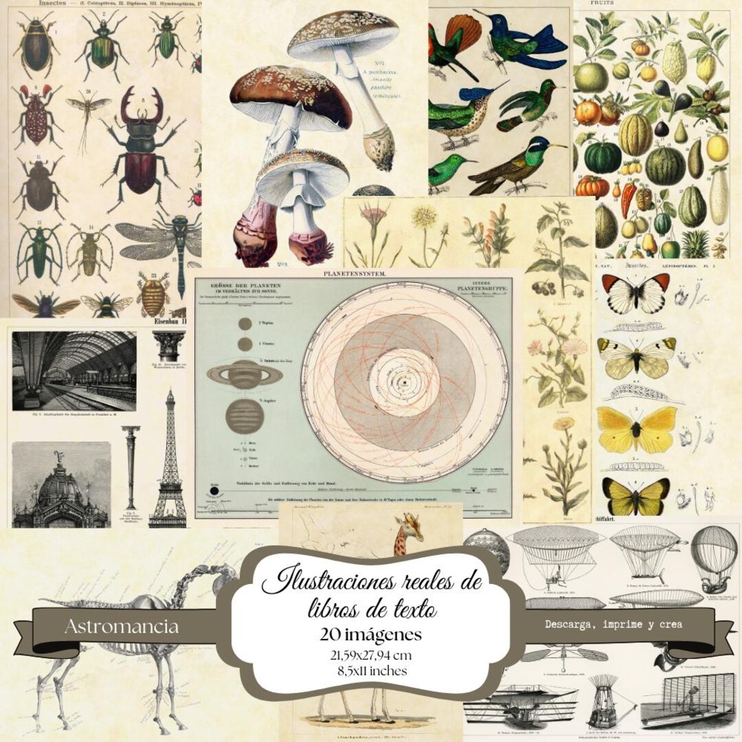 Real Textbook Illustrations | 20 Real Vintage Book Pages | 20 Vintage ...