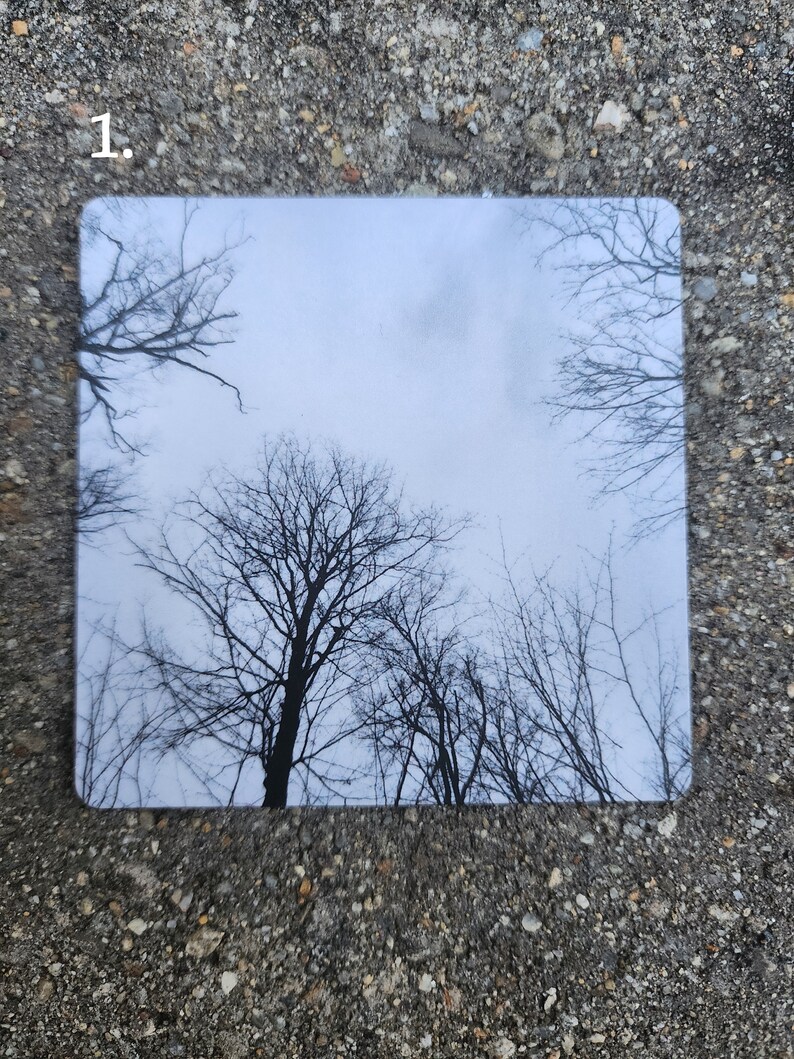 Tree Photography Magnet / Tree Magnet / Refrigerator Magnets / Nature ...