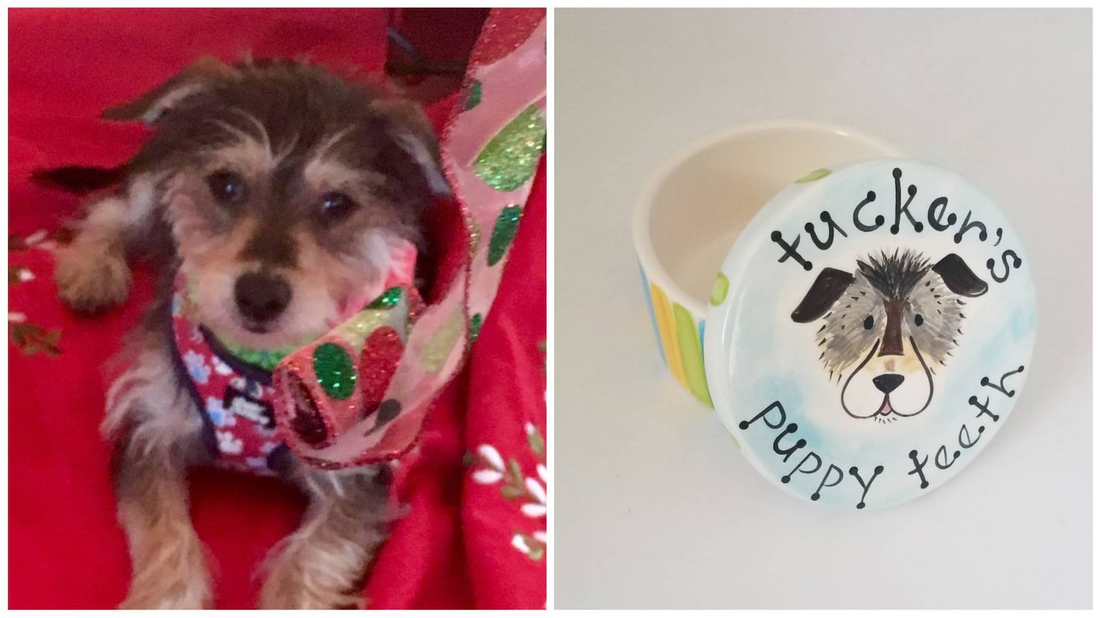 New puppy tooth box / puppy teeth box / custom pet gift / | Etsy