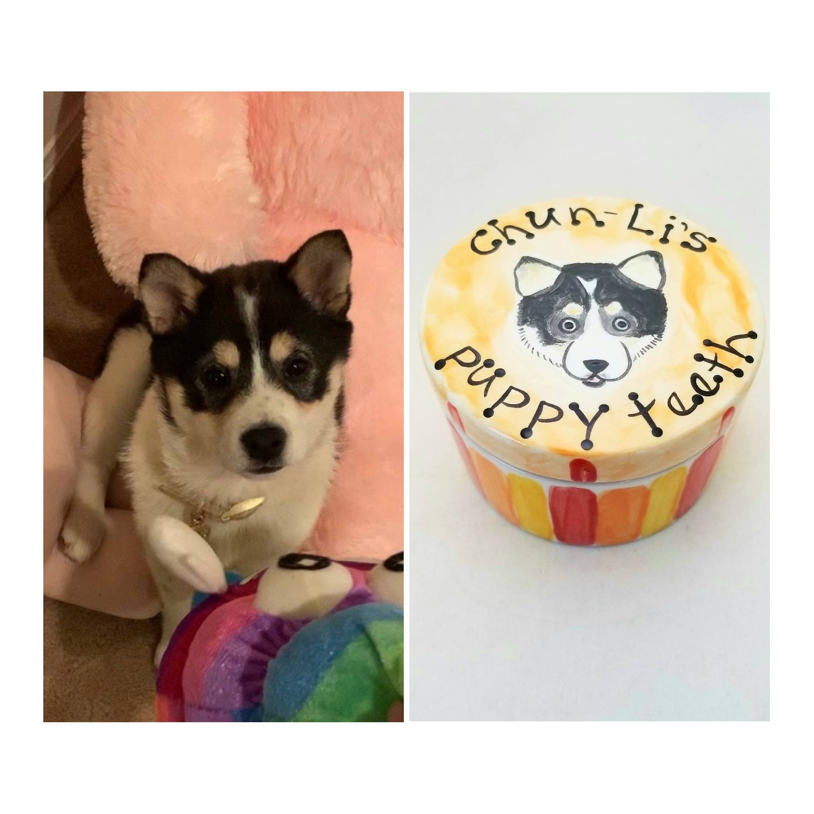 New Puppy Tooth Box / Puppy Teeth Box / Custom Pet Gift / - Etsy