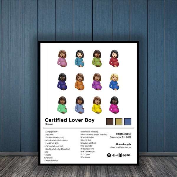 Plastic Poster Cover - Etsy