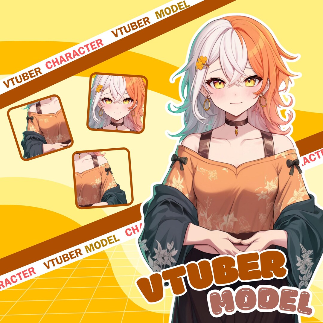 Modelo 2D personalizado de Vtuber Live / Transmisor de Vtuber / Modelo de Vtuber / Recursos de ...