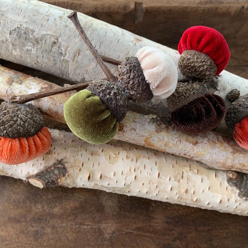 The Velvet Acorn - Etsy