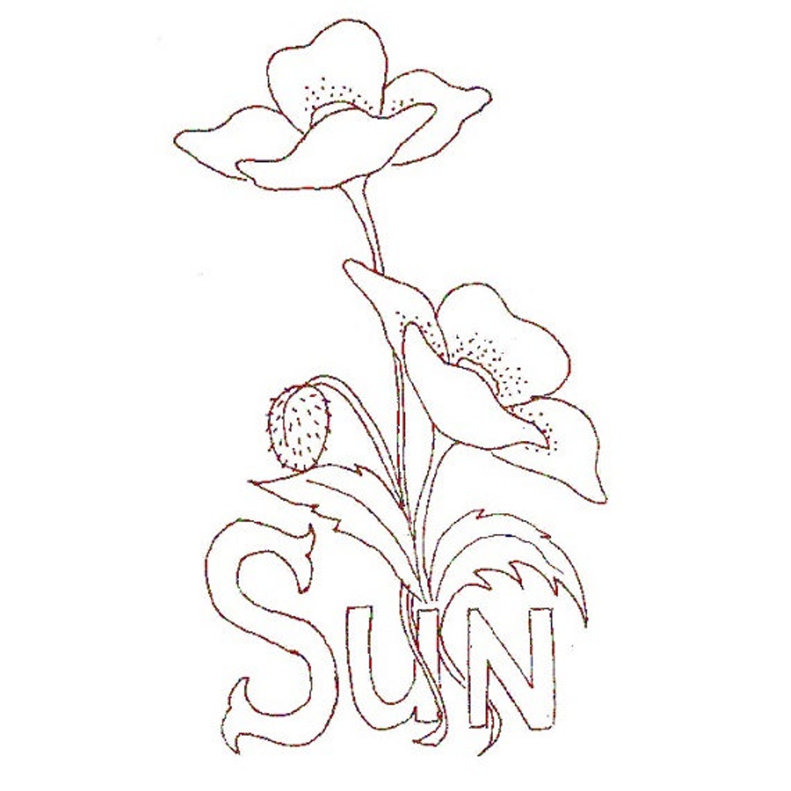 Digital Hand Embroidery PATTERN Days of the Week Flowers for - Etsy